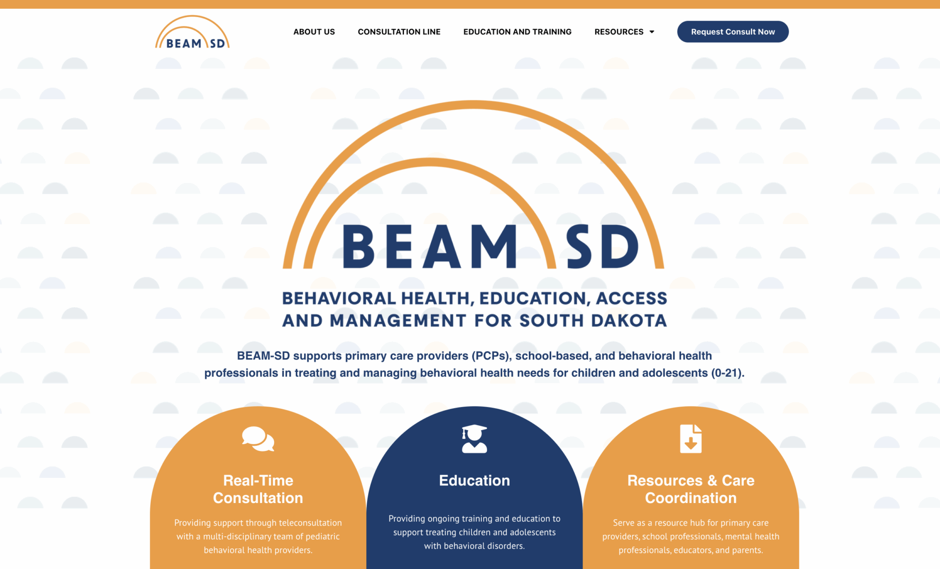 Autism Spectrum Disorder - BEAM-SD